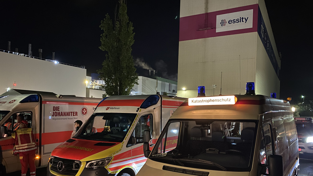 Aktuelle Nachrichten Mainz Kostheim
