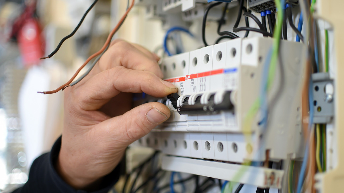Stromausfall in Eltville: Marder legt Netz lahm