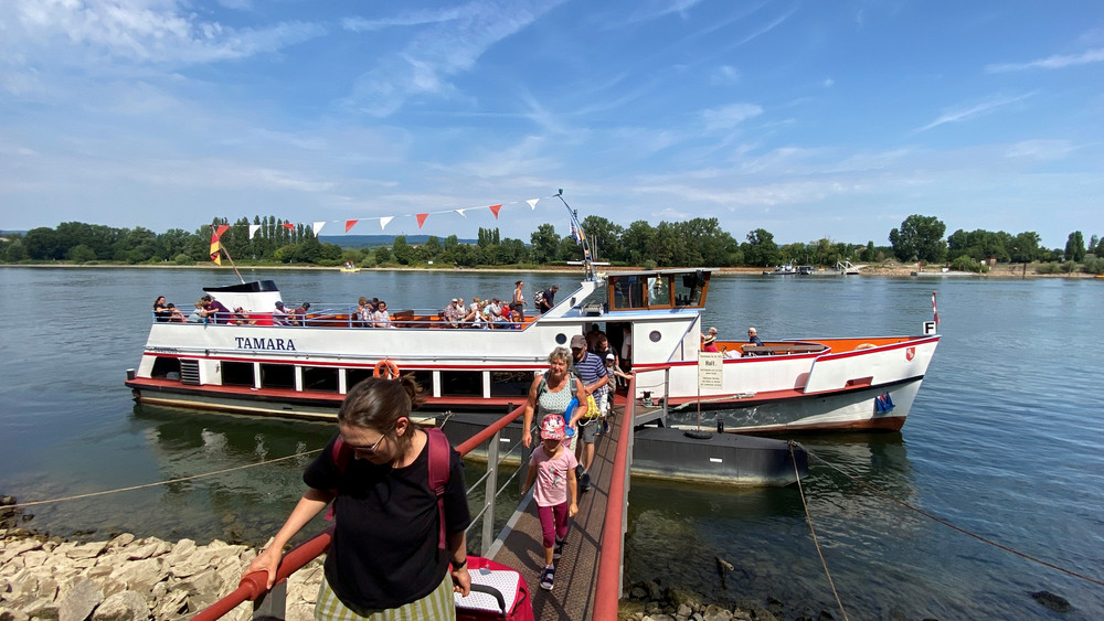 Rettbergsaue: Rhein-Ausbaggerung für mehr Naturerlebnis