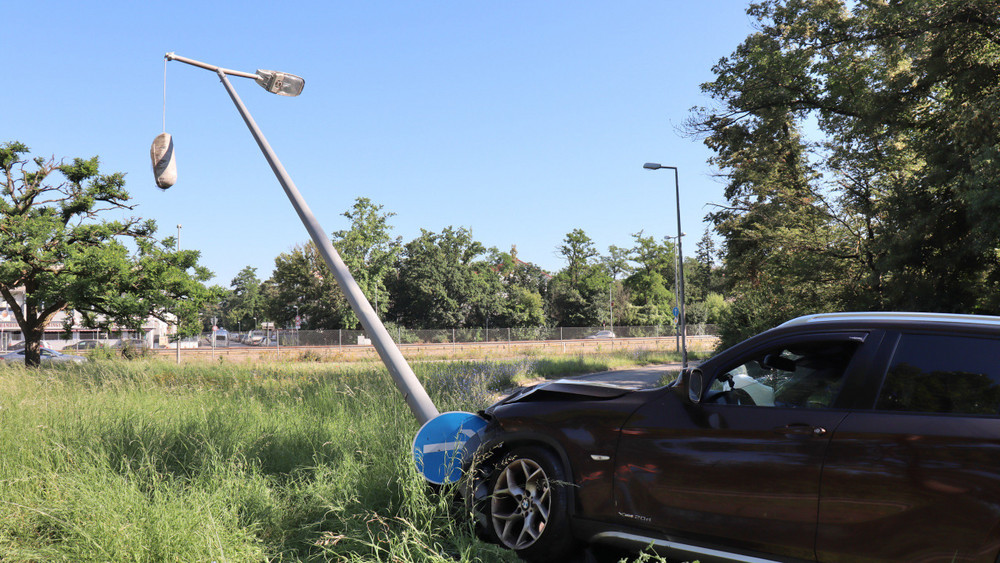 Mannheim: Unfall wegen einer Biene im Auto – Fahrer ohne Führerschein?