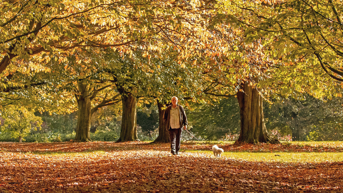 Laubzeit: Schön, aber laut und mühsam