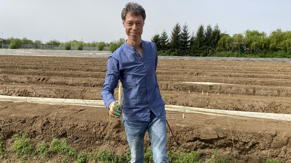 Hessische Spargelsaison in Zwingenberg nun auch offiziell eröffnet