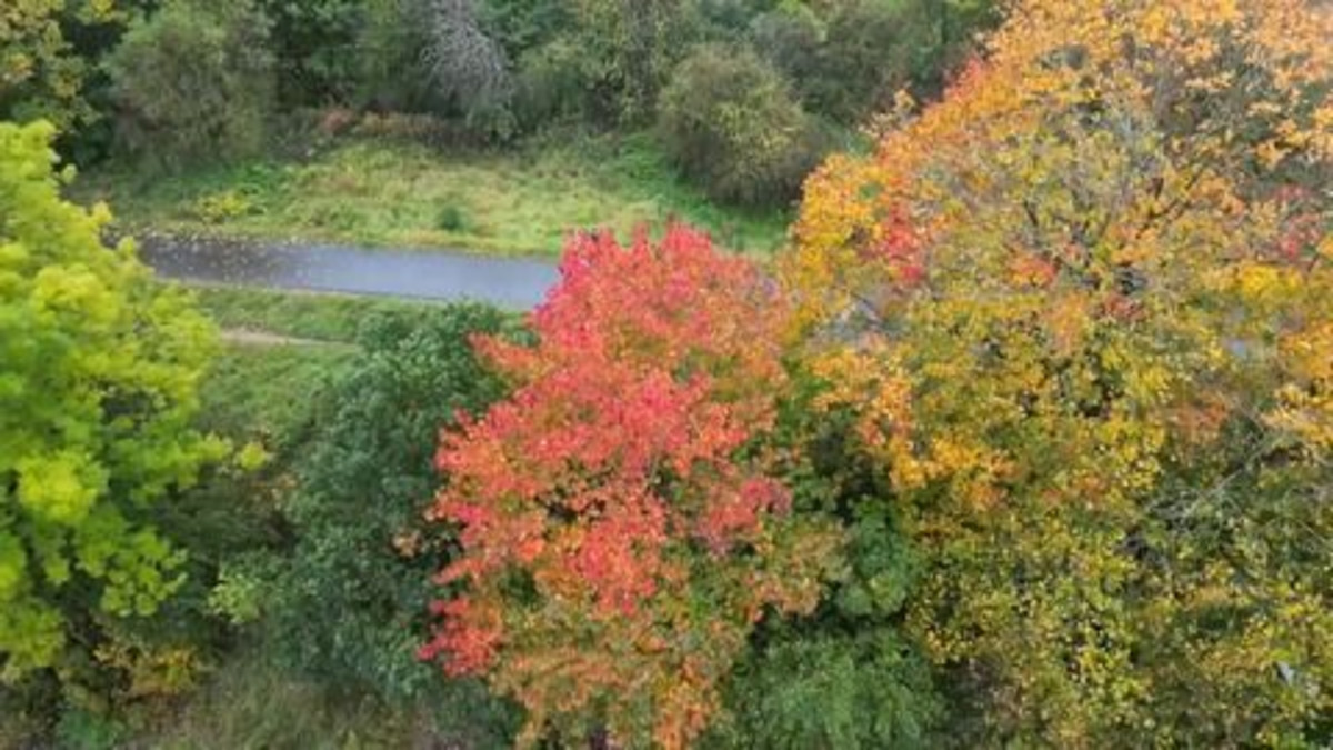 Der Herbst ist da - Es wird stürmisch
