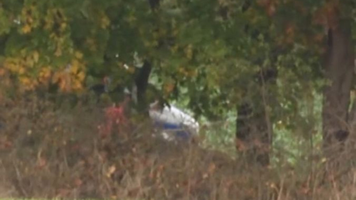 Kinderleiche bei der Suche nach Fabian gefunden: Polizei geht von ...