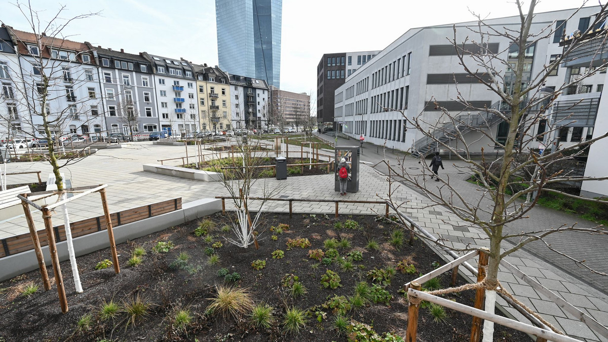 Städte verstärken Maßnahmenpakete im Kampf gegen Klimawandel