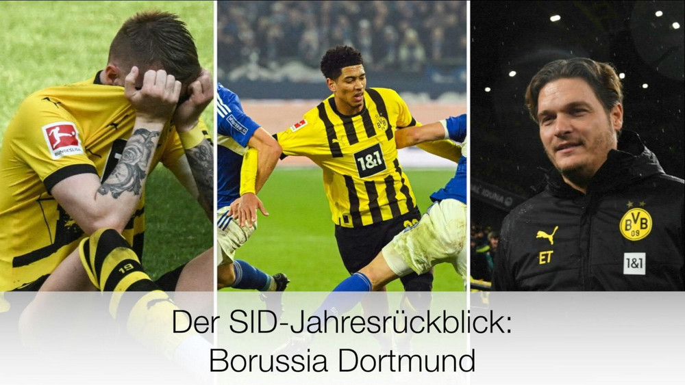 Der SID-Jahresrückblick: Borussia Dortmund