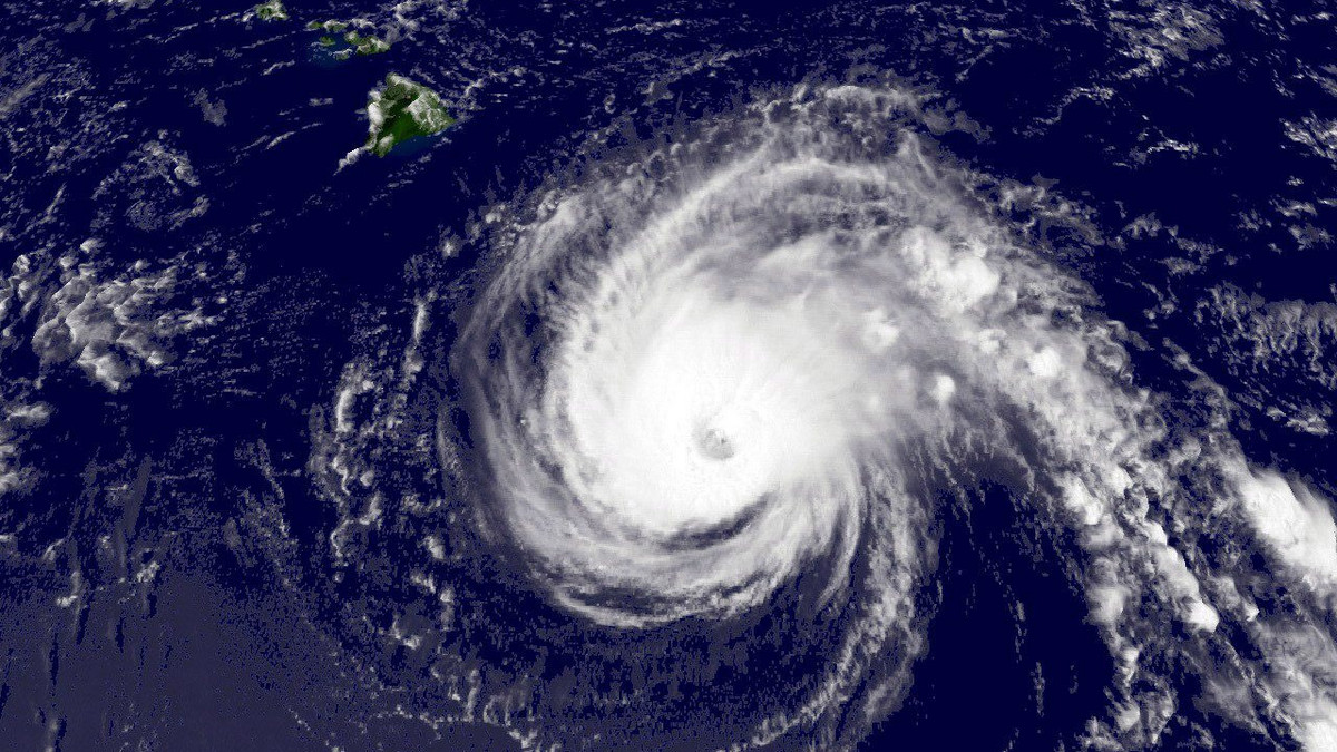 «Idalia» wird wohl zum Hurrikan - Florida bereitet sich vor