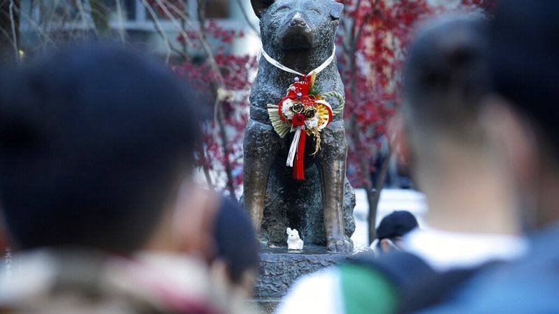 Der treue Hund: Hachiko wird 100 Jahre alt