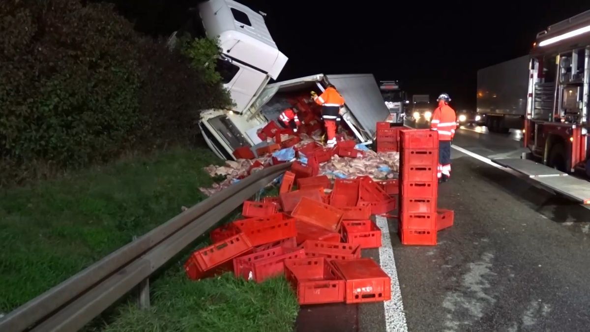 Lkw-Unfall auf der A5: Schweinefleisch blockiert Autobahn